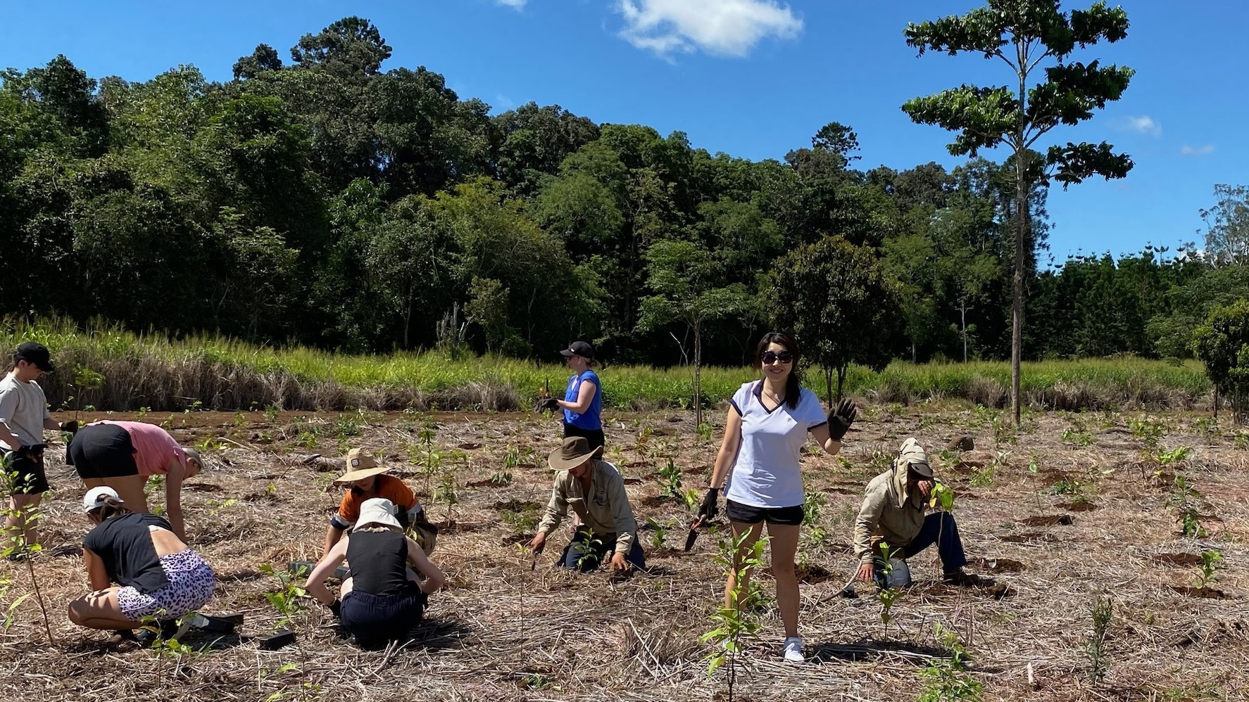 Reforesting Mabi, home of the tree kangaroo – Reforest